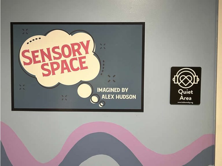 Lynn Meadows Discovery Center Provides Space for Sensory Needs | Our ...